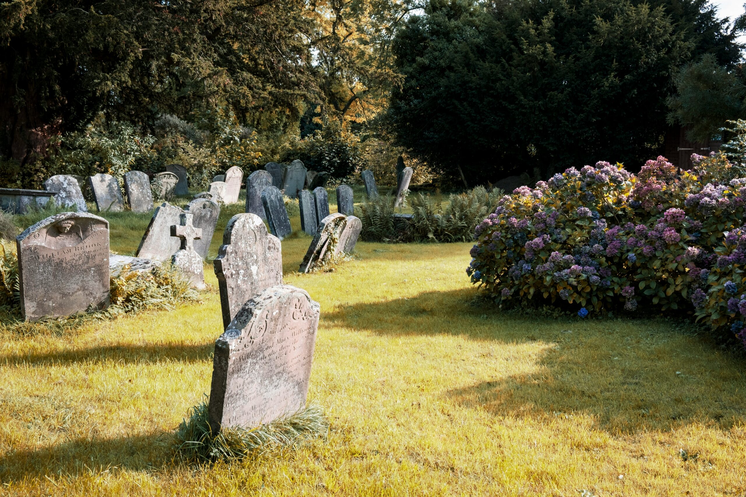 Why Having a Private Family Cemetery Could Be the Best Family Investment